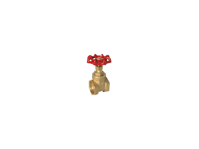 1/2" BSP Brass Gate Valve PN16