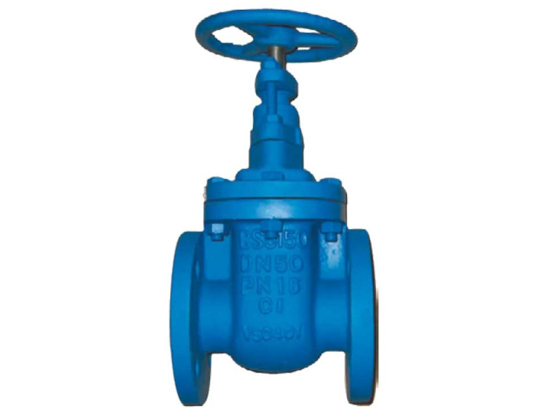 DN80 (3") ART 235 Cast Iron Gate Valve Flanged Table PN16 from IBHS
