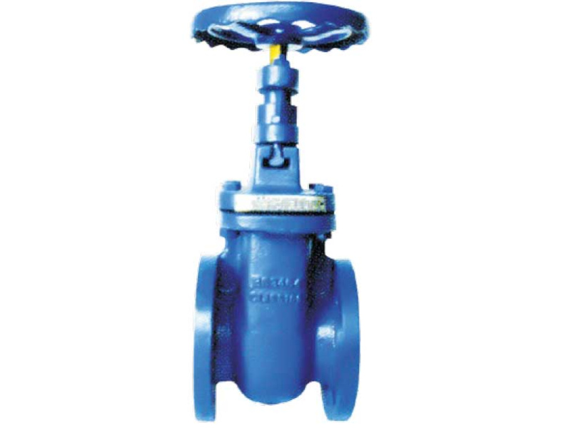 DN150 (6") ART 210 Cast Iron Gate Valve Flanged Table E from IBHS