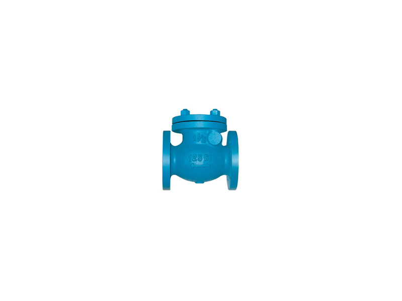 DN300 ART 170 Cast Iron Swing Check Valves from IBHS