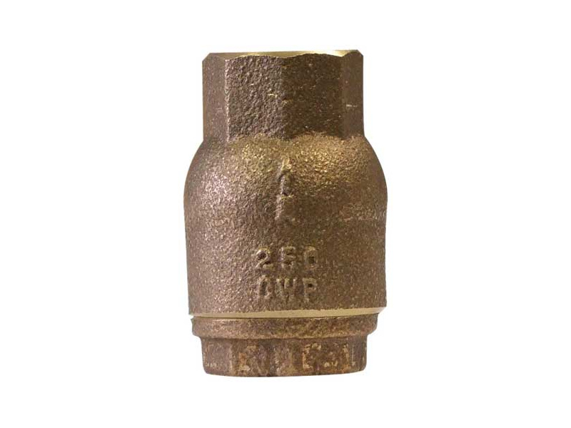 1" BSPT Bronze Spring Check Valve from IBHS