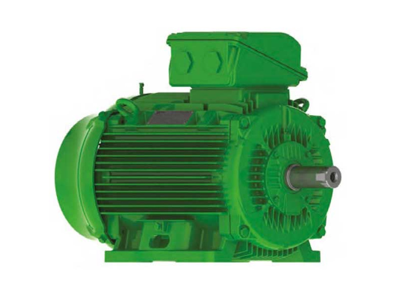 Foot Mounted Motor 15KW 3000rpm 2pole 400V Delta (460V)