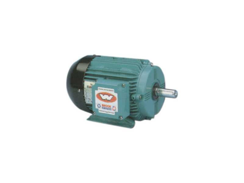 Foot Mounted Motor 5.5KW 3000rpm 2pole 400V Delta (460V)