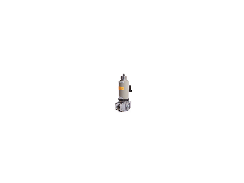 ZR-DLE 420 / 5 Gas Valve 2" BSP - 230v
