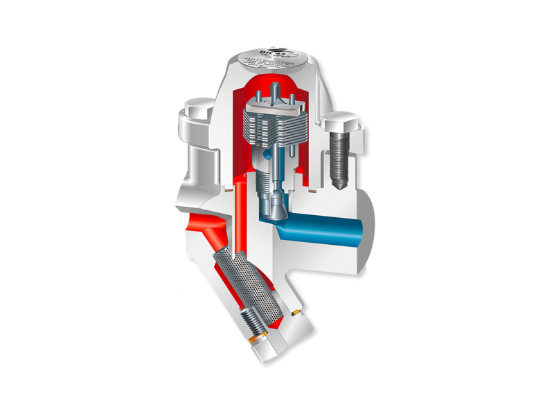 BK45 Steam Trap 1/2" BSP Screwed from IBHS Ltd