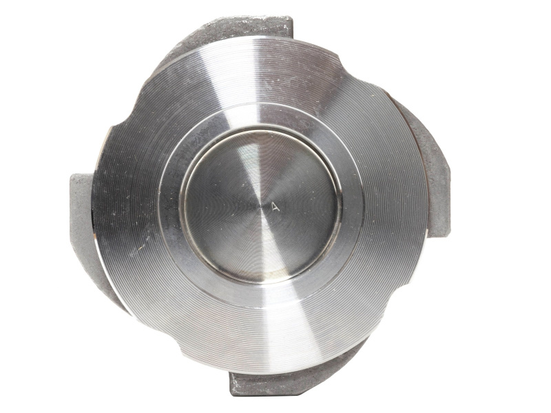 Gestra RK86 Disc Check Valve 100mm (4")