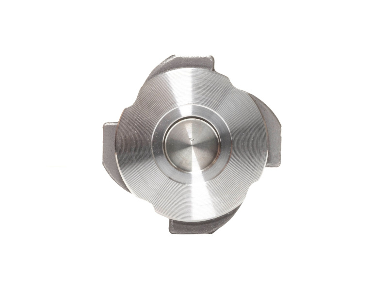 Gestra RK86 Disc Check Valve 25mm (1")