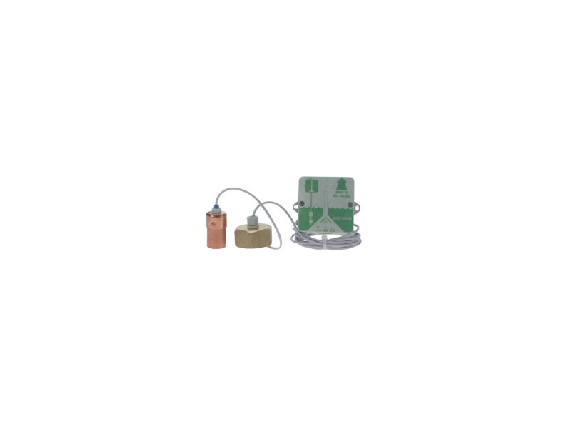 Compact Bund Alarm & Probe - Steel Tank