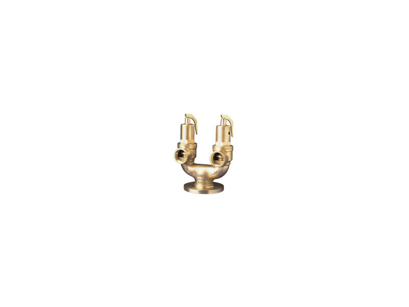 3" (DN80) Fig 520 Double Spring Safety Valve from IBHS