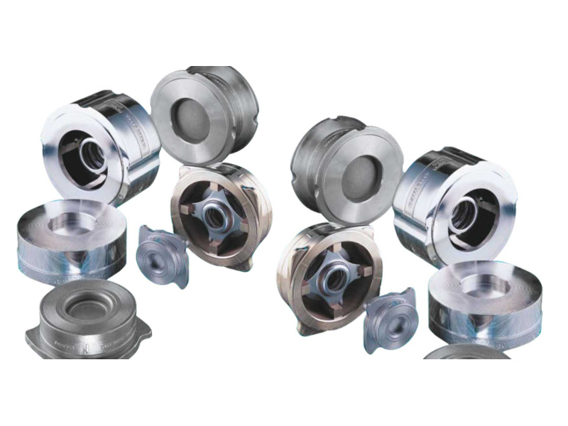 DCV3 Disc Check Valve 80mm (3")
