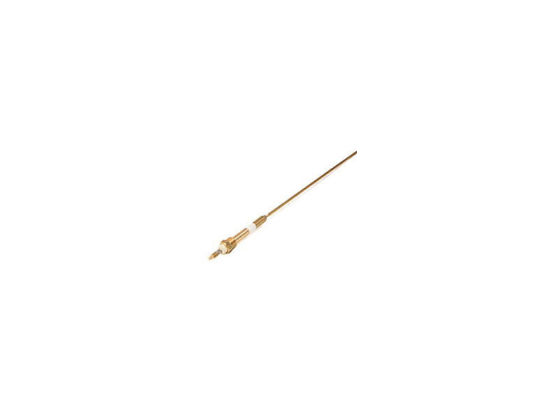 Fulton Low Water Probe 36" Long 1/2" BSP