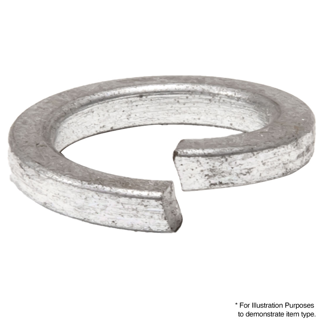 M20 Spring Washer BZP